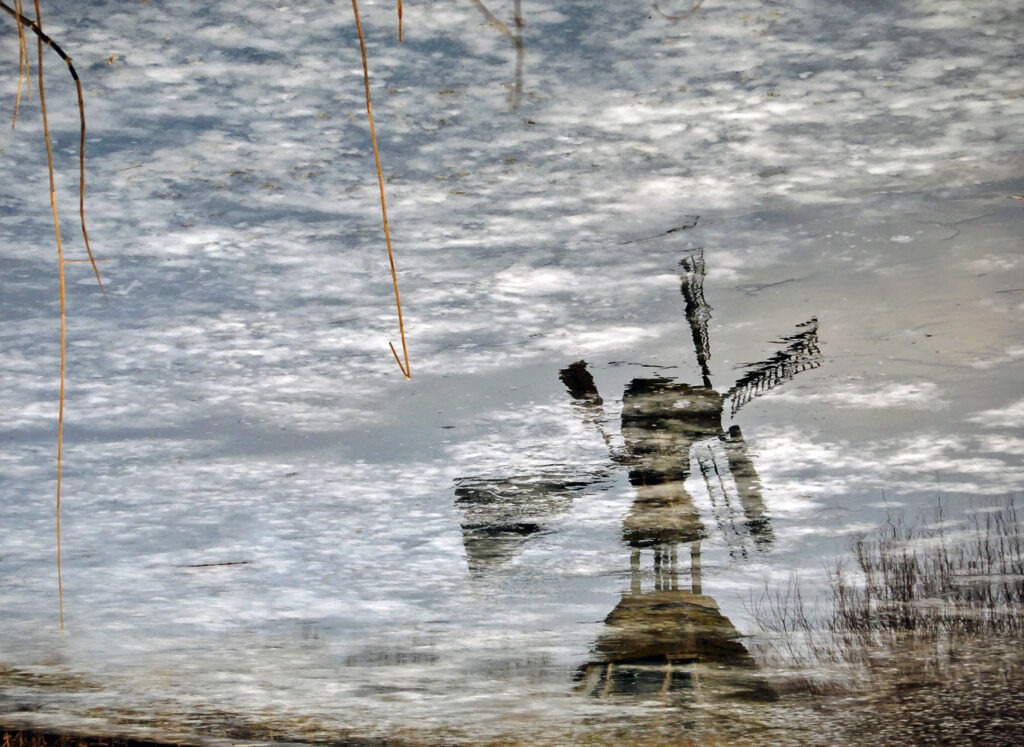 Nieuwsbrief december 2023